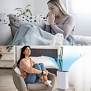 Air Purifiers for Home Large Room up to 1615 ft² with H13 True HEPA Filter, WiFi Voice Control, PM2.5 Monitor, Air Purify Filter Cleaner for Pets Smoke Dust (AF1)