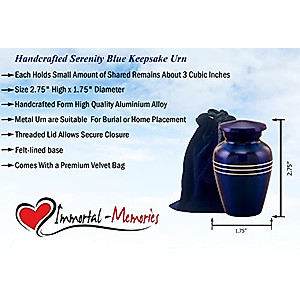 Immortal-Memories Serenity Keepsake Urn for Ashes - Miniature Urns - Mini Jar - Pet Urn -Token Urn with Velvet Bag (Cobalt Blue)