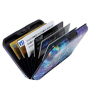 VICHLINE RFID Credit Card Holder Blocking Wallet for Women Men Mini Metal Slim Hard Aluminum Business Card Case (Watercolor Dragonfly)
