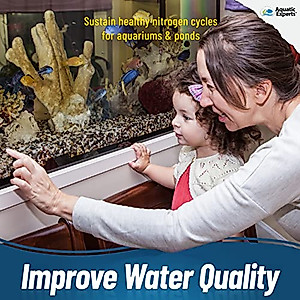 Aquatic Experts Aquarium Filter Sponge - SpongeFirst - Biological and Mechanical Aquarium Sponge Filter Pad for Clear Water (12" x 36" 40ppi)