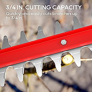 ECOMAX 18V 22-Inch Cordless Hedge Trimmer, Ideal for Pruning Branches in Your Backyard, Garden, Hedge Trimmer with 2.0AH Battery & Charger, ELG06