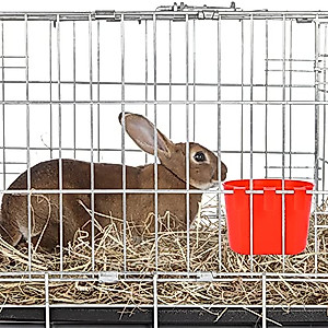 50 Pieces Cage Cups Plastic Hanging Bird Feeding Cups Universal Cage Cups Birds Feeders Seed Bowl Chicken Feeding Watering Dish with Hooks for Pet Pigeon Parrot Parakeet Poultry (Red)