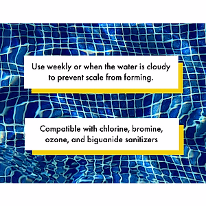 Spa & Hot Tub Scale Remover - Quart - Hot Tub & Spa Descaler, Scale Stain & Lime Stain Remover