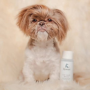 ROWAN - Natural Hair Wash | Clean, Non-Toxic Coat Care for Dogs (12 fl oz | 355 mL)