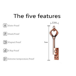 GARRULAX USB Flash Drive, 32GB USB2.0 Cute Shape Lovely USB Memory Stick Date Storage Pendrive Thumb Drives (32GB, 5xHeart Keys)