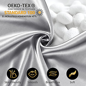 Powsure 100% Mulberry Silk Pillowcase for Hair and Skin - Standard 20"x26" - Silver Grey Zippered 22 Momme Pure Silk Pillow Cases Soft Pillow Covers (Pack of Pillowcase - Eye Mask)