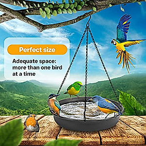 Hanging Bird Bath Hanging Bird-Feeder - CARGEN Garden Bird Bat Bird Feeder Plate Hanging Tray Bird Bath Tray Hanging Bird Water or Bird Seed hanging bird baths for outdoors
