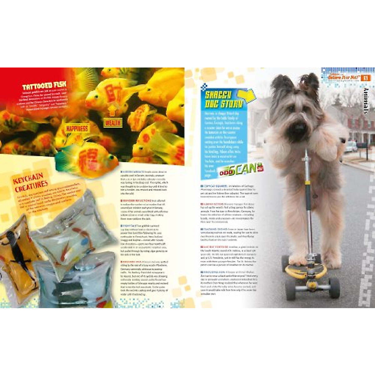 Ripley's Believe It Or Not! Download the Weird (9) (ANNUAL)