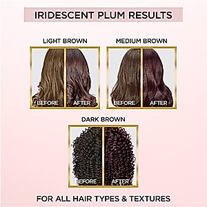 L'Oreal Paris Le Color Gloss One Step In-Shower Toning Hair Gloss, Neutralizes Brass, Conditions & Boosts Shine, Iridescent Plum Purple, 4 Ounce