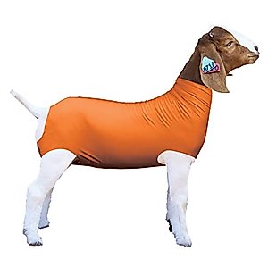 GuHuiKuShow Pro Orange Spandex Goat Tube for Show Goats - Show Livestock Supplies: Goat Covers & Blankets (Medium)