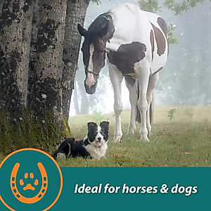 Farnam Next Level Joint Fluid Supplement for horses and dogs, Helps maintain connective tissue to ease joint stiffness due to daily activity, 16 ounces, 16 day supply