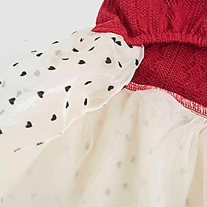 Dog Knitwear Sweater Dress Lace Tulle Tutu Outfit Skirt with Cute Heart Pattern for Small Medium Girl Dogs Christmas Birthday Party (Red, S)