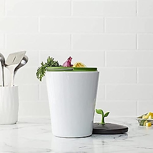 Chef'n Natural Charcoal Compost Filter, Dimensions - oval, approx. 6-1/2 x 5 inches, 3/8 inch thick, Black