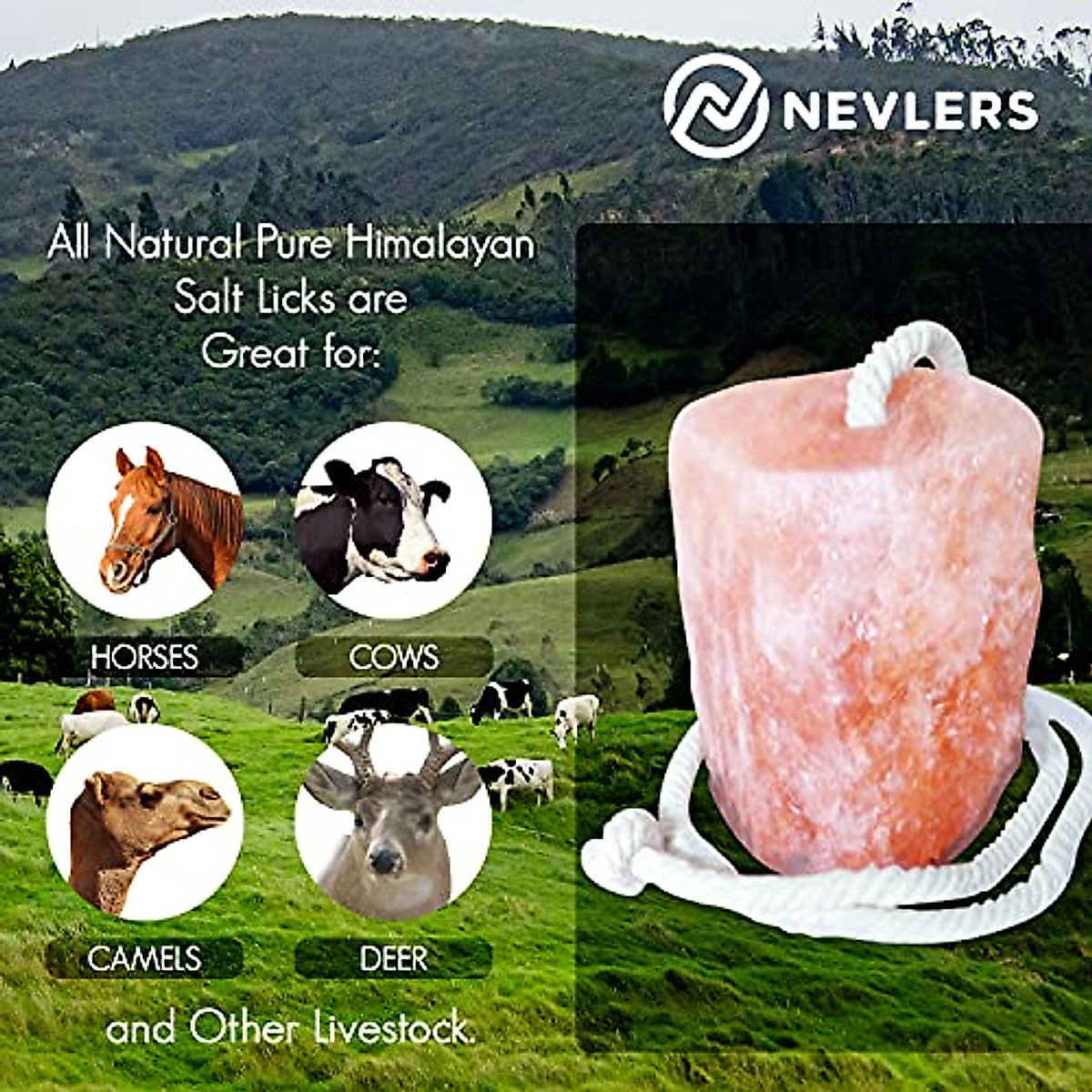Nevlers 2 Pack Himalayan Salt Lick on Ropes for Animals -All Natural Pure Mineral Block - Himalayan Salt Block for Deer, Salt Block for Horses, Cows, & Other Livestock - 4.5-6 lbs Each