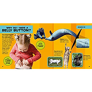 National Geographic Little Kids First Big Book of Why (National Geographic Little Kids First Big Books)