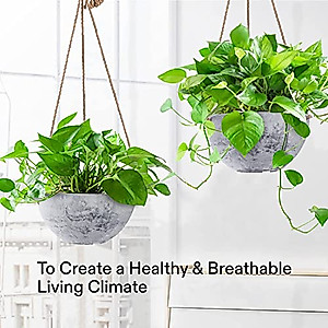 VIVOSUN 2 PCS Hanging Planters, 10 Inch Flower Pots with Drainage Holes, Indoor and Outdoor Hanging Basket, Marble Pattern