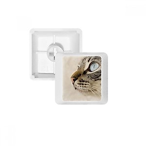 DIYthinker Animal Blue Eye Kitten Gray Photo Keycap Mechanical Keyboard PBT Gaming Upgrade Kit