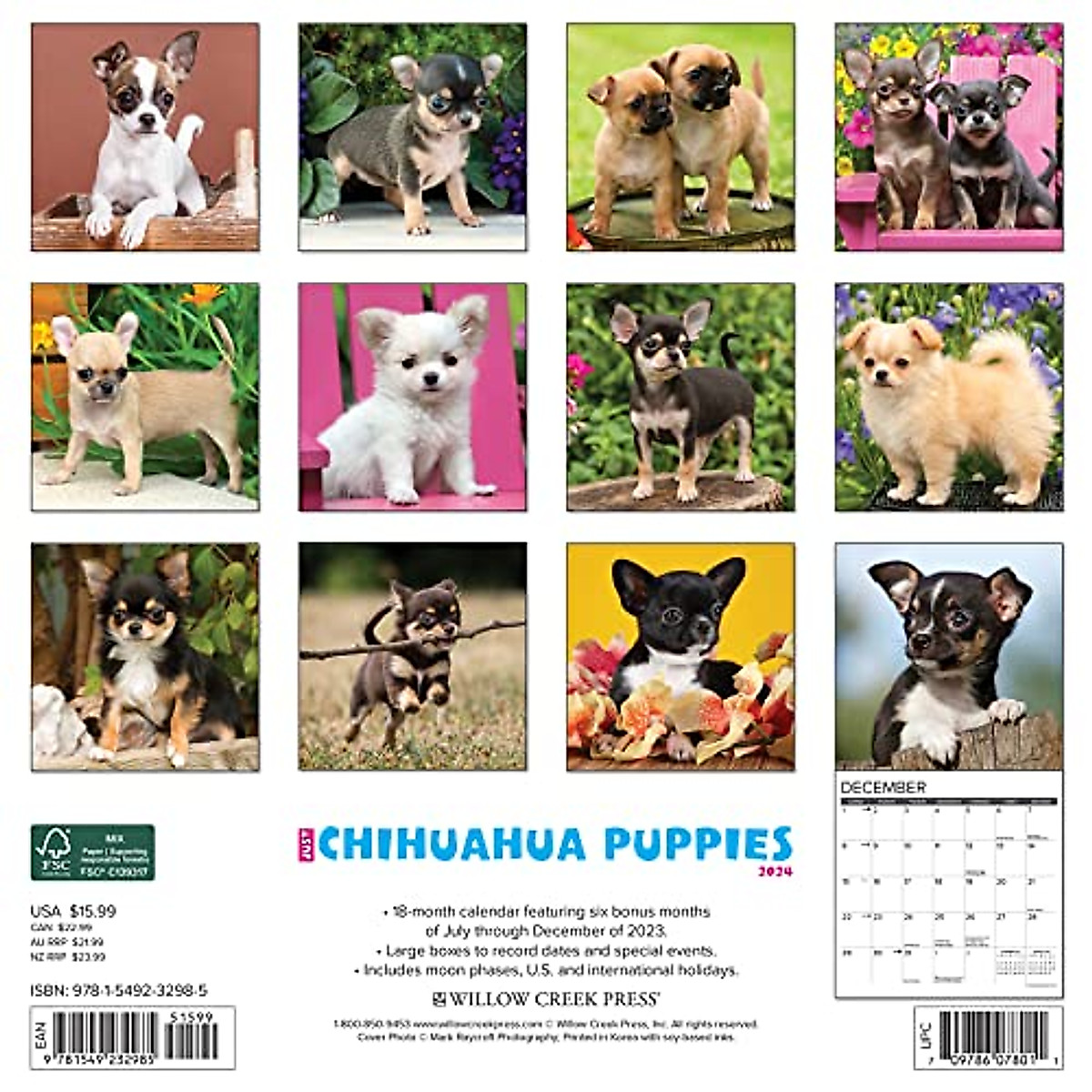 Willow Creek Press Chihuahua Puppies Monthly 2024 Wall Calendar (12" x 12")