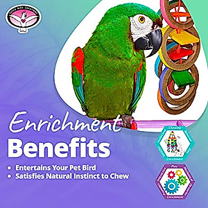 Super Bird Creations SB625 Olympic Rings Bird Toy, Large Bird Size, 15” x 4” x 4”