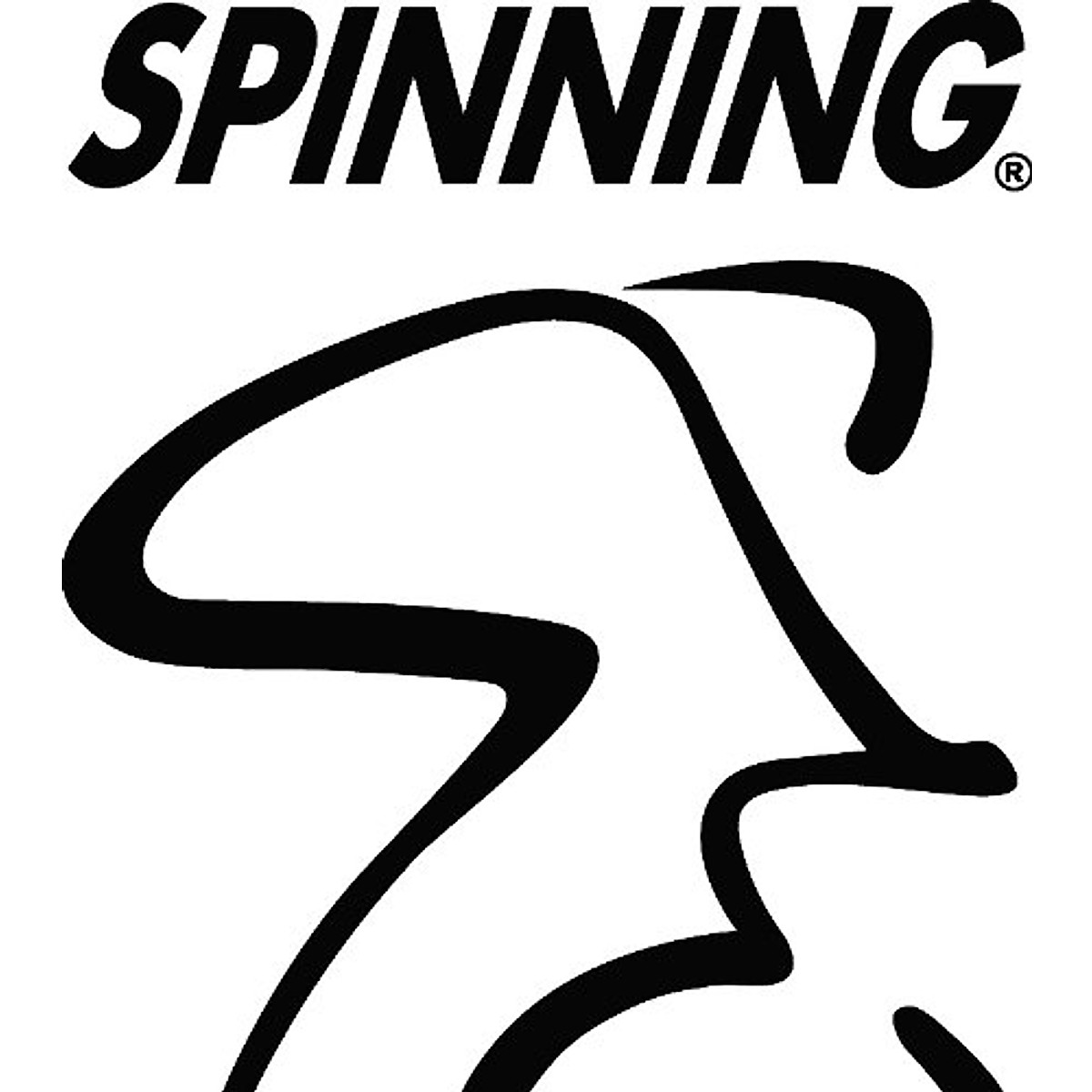SPINNING Cadence, Resistance and Class Design - an introduction to the Spinning Computer