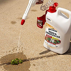 Spectracide Weed and Grass Killer, Pack of 1