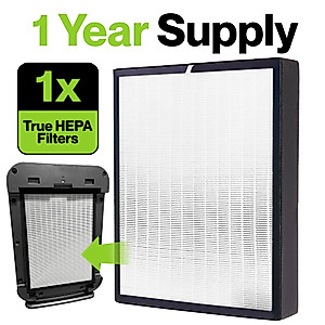 Durabasics HEPA Filter Compatible with Alen BreatheSmart 75i Filter