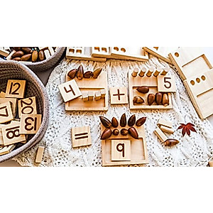 LITTLE BUD KIDS Counting Pegs - A Ten Frame Math Manipulatives Number Montessori Toy for Toddlers & Kindergarteners