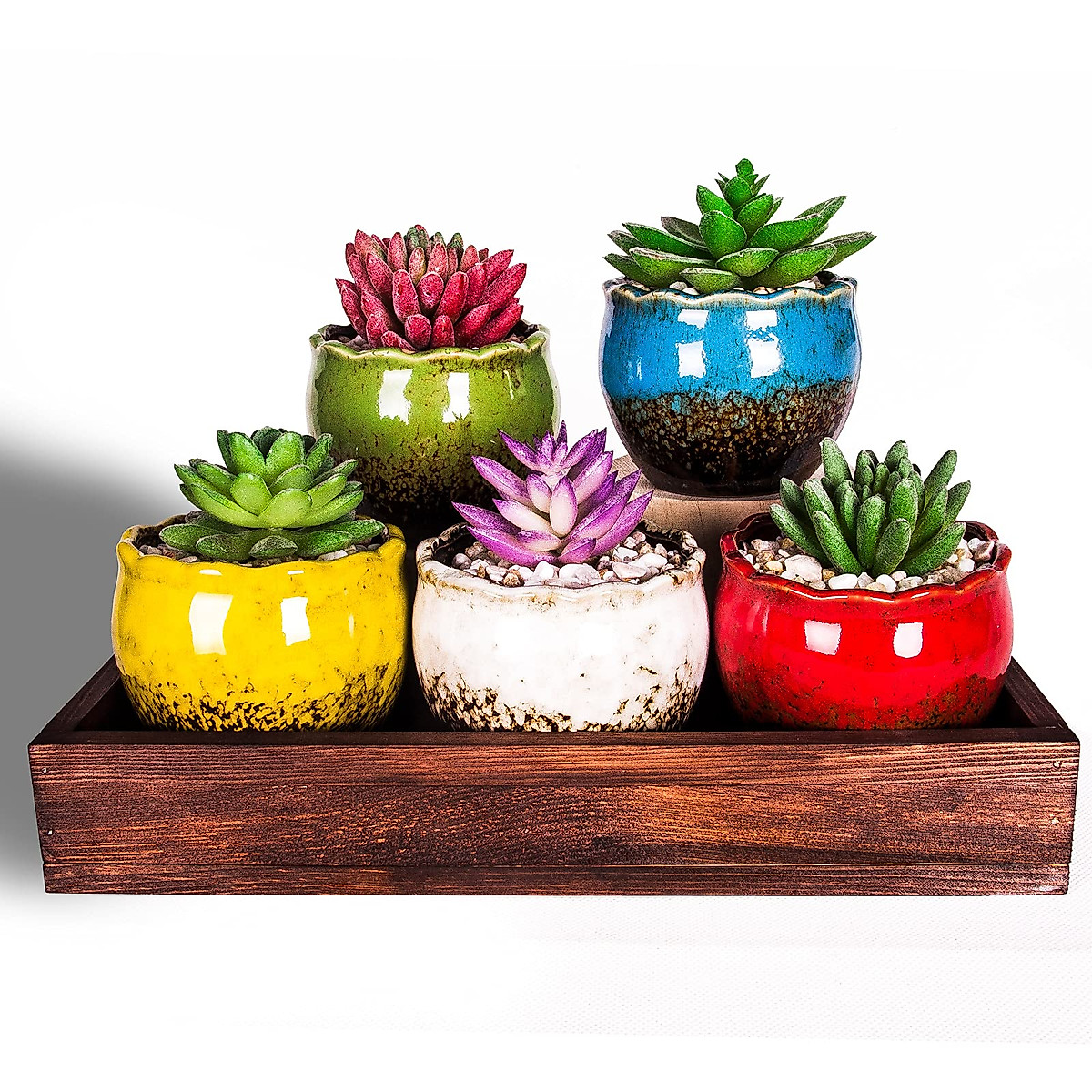 ARTKETTY Succulent Pots - 4 Inch Ceramic Succulent Planters with Drainage Tray Set of 6, Small Cactus Pots for Indoor Plants Colorful Flower Plant Pots for Desk Windowsill