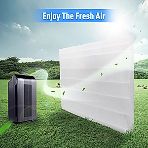 Colorfullife 2 Pack True HEPA 115115 Size 21 Filter A for Winix PlasmaWave 5300-2, C535, P300, 6300-2, 5300, 9000 Air Purifier