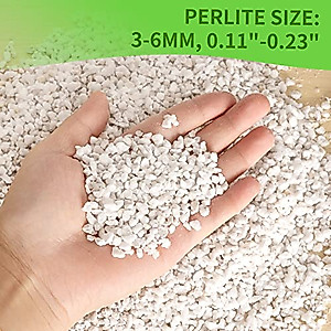 Perlite for Plants - 8QT Organic Perlite Bulk for Indoor Plants, Succulents, Vegetables, Garden, Horticultural Perlite for Soil, Potting Soil Mix, Root Cuttings, Seed Starting