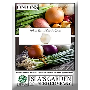 White Sweet Spanish Onion Seeds for Planting, 500+ Heirloom Seeds Per Packet, (Isla's Garden Seeds), Non GMO Seeds, Botanical Name: Allium cepa, Great Home Garden Gift