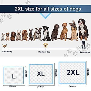 Boscute XXL Thicken 6 Layers Heavy Absorbent 30"x36" Pet Training Dog Pee Pads, Extra Large Polymer Leak-Proof Quick Dry Puppy Pee Pads, Disposable Pee Pads for Dogs Cats Rabbit