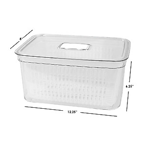 Home Basics Fruit and Vegetable Fridge Storage Container Large Produce Saver with Lid and Removable Colander