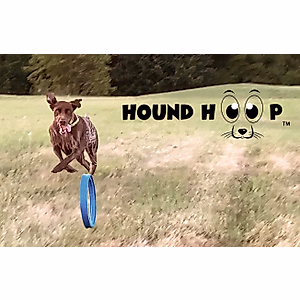 Hound Hoop - Professional Dog Fetch Toy for Medium & Large Breeds - Rolling Fetching Tire & Chase Ring for Outdoor Training & Water Retrieval Play - Helps Improve Agility, Balance, Speed - 10x1.5…
