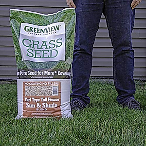 GreenView Fairway Formula Grass Seed Turf Type Tall Fescue Sun & Shade Blend - 20 lbs.