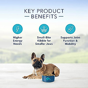 Blue Buffalo Life Protection Formula Natural Adult Small Breed Dry Dog Food, Chicken and Brown Rice 15-lb