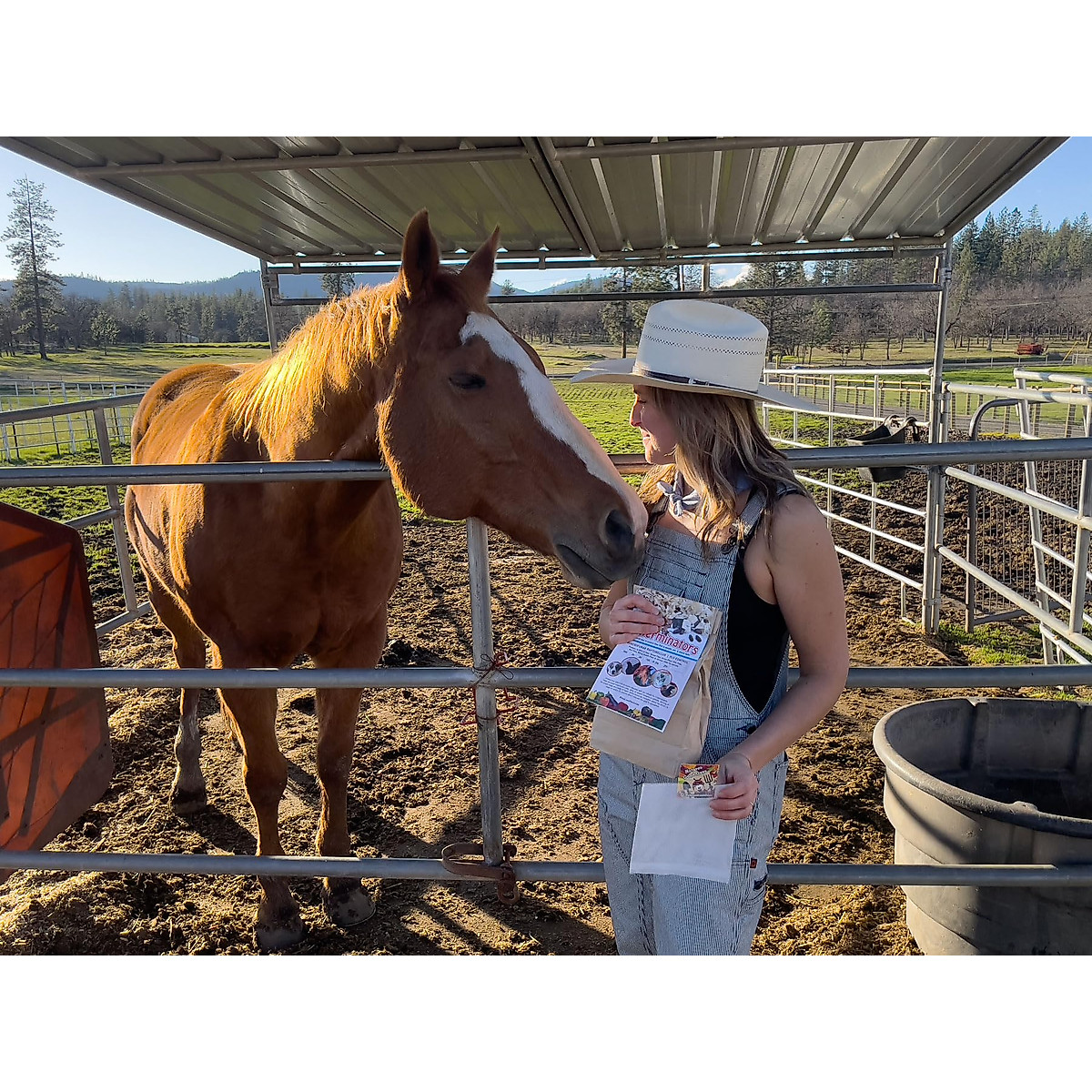 Fly Exterminator 50,000 NaturesGoodGuys