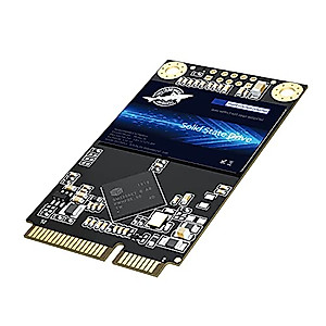 Dogfish mSATA SSD 250GB 3D NAND TLC SATA III 6 Gb/s, mSATA (30x50.9mm) Internal Solid State Drive - Compatible with Desktop PC Laptop - (MSATA 250GB)