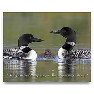 Common Loon Family Motivational Inspirational Poster Art Print Reproduction 11x14 Call Wall Decor Pictures