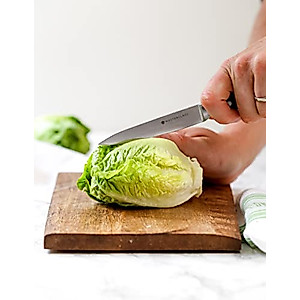 MasterClass All Purpose Small Kitchen Knife with EdgeKeeper Knife Sharpener Sheath, Stainless Steel, 11 cm