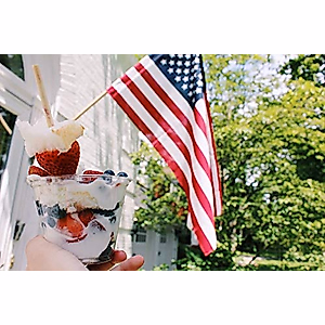 SOLO AC940-20001 Cup Company 9oz Clear Wine and Punch Plastic Cups, 6-Packs of 40ct (240ct Total)