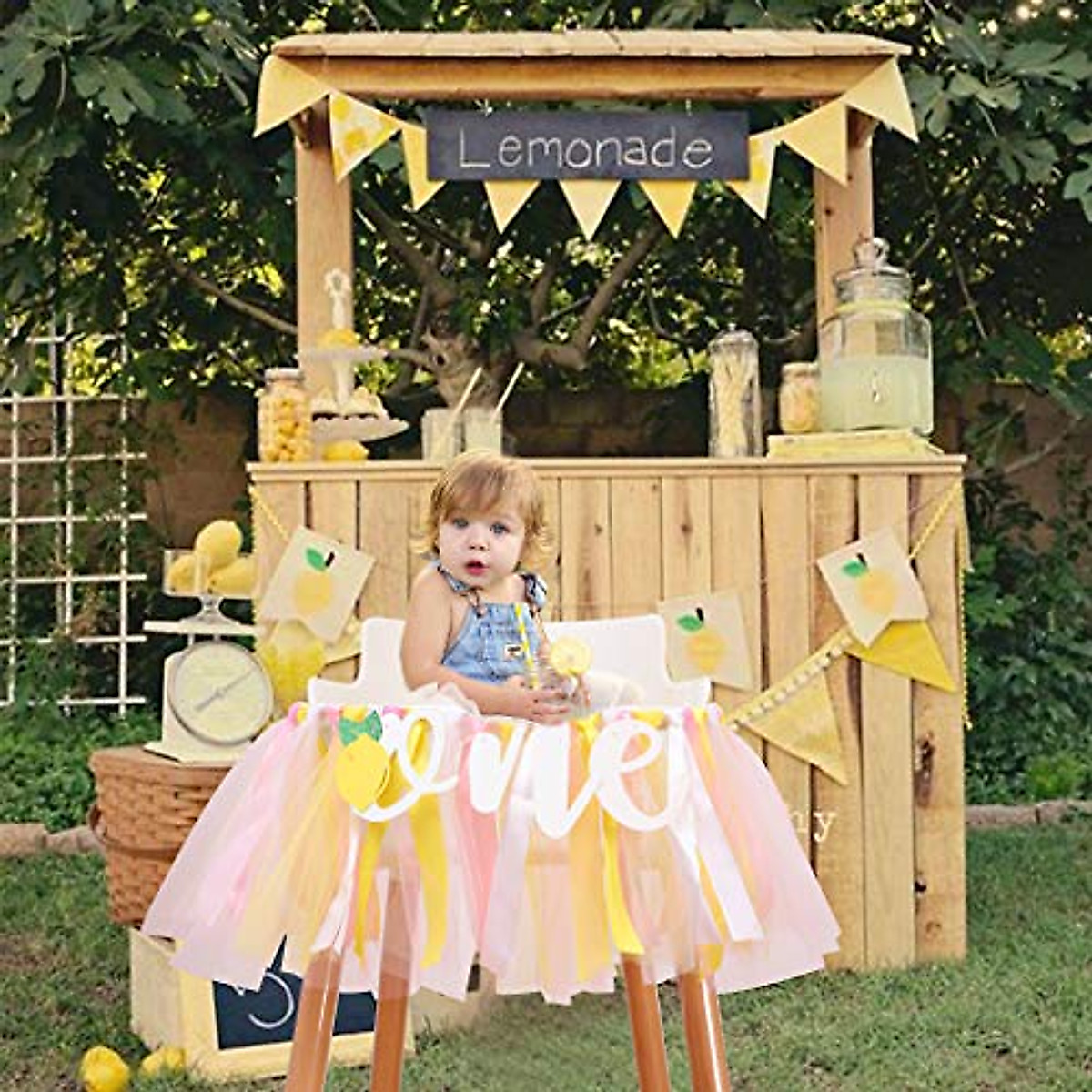 One Person in The Lemon Banner- 1st Birthday High Chair Banner, Smashed Cake, Photo Background Props, Piece Skirt (Lemon Banner)