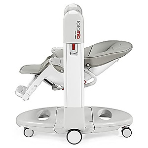 Peg Perego Tatamia 3 in 1-Recliner-Swing and High Chair, Ice