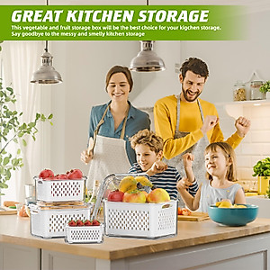 HILETY 4 PCS Fruit Storage Containers for Fridge with Removable Colander, Dishwasher Safe Produce Saver Container for Refrigerator,Airtight Food Storage Container