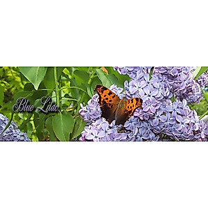 CafePress Blue Lilac Mug Ceramic Coffee Mug, Tea Cup 11 oz