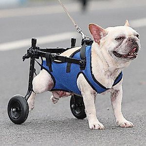 COCEQUC Dog Wheelchair for Back Legs,Adjustable Pets Cart with Wheels for Back Legs,Dog Leg Brace and Hip Support, Assist Small Pets with Paralyzed Hind Limbs to Recover Their Mobility