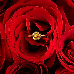 STORYJEWELLERY Story Jewellery Gold Plated Sterling Silver Rose Flower Promise Rings for Women, Dainty Rose Jewelry Gifts for Her, Birthday Christmas Valentines Gifts for Women (silver 12)