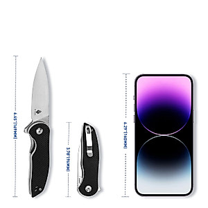 Kizer Sidekick EDC Knife, 2.87 Inches 9Cr18MoV Steel Blade Folding Knife, Black G10 Handle Small Pocket Knives for Men, L3006A1