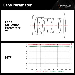 Brightin Star 60mm F2.8 2X Macro Magnification Manual Focus Mirrorless Camera Lens, Fit for Panasonic LUMIX Olympus Micro4/3 G7, G85, GX9, G7KS, EPM1/2, EM1, E-P1/P2/P3/P5, PL 1/2/3/5/6, G2/3/5/6
