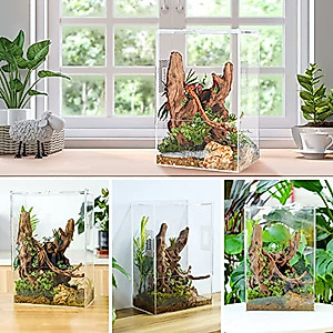 Reptile Terrarium Tank,Tarantula Enclosure 15’’x10’’x6’’ INKPET Acrylic Medium Feeding Tarantula Habitat Box for Hermit Crab,Leopard Gecko,Snake,Frog and Chameleon Cage(No Assembly Required)